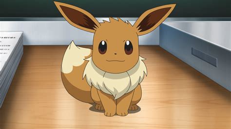 Ash S Eevee Acp Pokéfanon Fandom