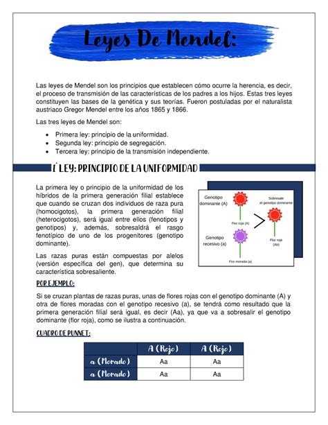 2do Parcial Actividad 5 Mendel Leyes De Mendel Las Leyes De Mendel
