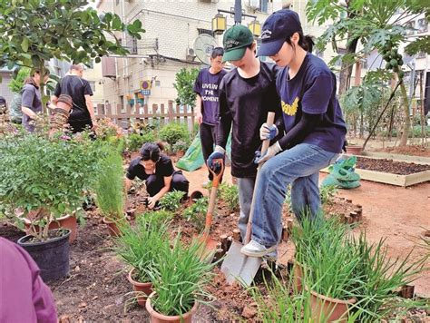 茜坑社区30名邻里居民用心用情打扮亲邻之家龙华网百万龙华人的网上家园