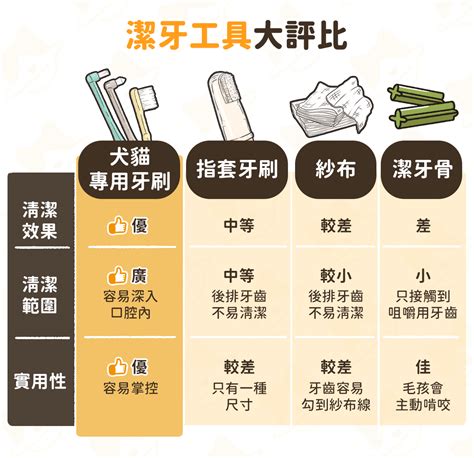 貓狗刷牙懶人包！貓狗潔牙工具挑選、步驟及技巧全收錄 汪喵星球
