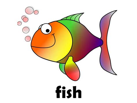 Fish Identification Flashcards At Mary Bevis Blog