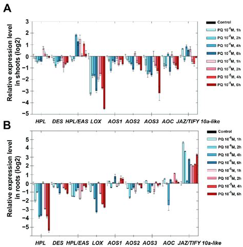 Dynamics Of Lipoxygenase Cascade Gene Expression After Treatment With