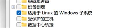 在 Windows 中的文件资源管理器导航窗格中找不到 Linux Microsoft Qanda