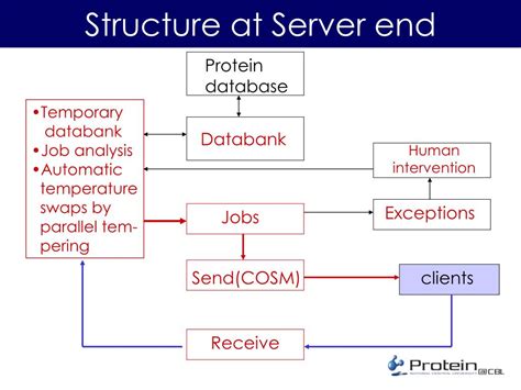 Ppt Massively Distributed Computing And An Nrpgm Project On Protein Structure And Function