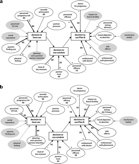 Mental Model Diagrams For A 14 Year Old Not Sexually Active And B