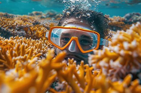 103000 Coral Snorkeling Pictures