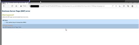 3193559 Bsp Service Is Not Working With Web Dispatcher Sap