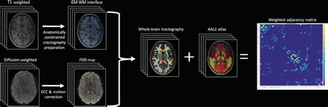 Displays The Major Processing Steps To Generate The Structural