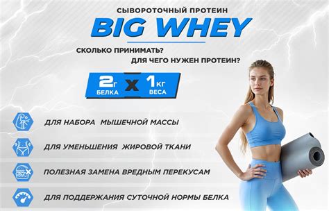Протеин BIGSNT BIG WHEY сывороточный для набора мышечной массы ...