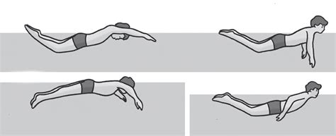 Bagaimana Teknik Renang Gaya Kupu Kupu Kumpulan Tugas Sekolah