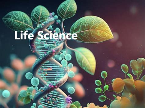 首页 基础代谢率