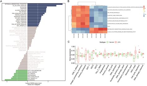 Enrichment Analysis Of Gsva A B Gsva Enrichment Analysis Of Download Scientific Diagram