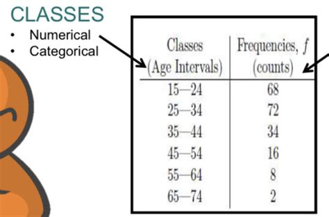 Frequency Distribution And Their Graphs Flashcards Quizlet