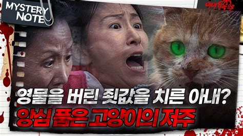 [미스터리 노트] 영물을 버린 죗값을 치른 아내 앙심 품은 고양이의 저주｜ 미스터리노트 Mbc980710방송 Youtube