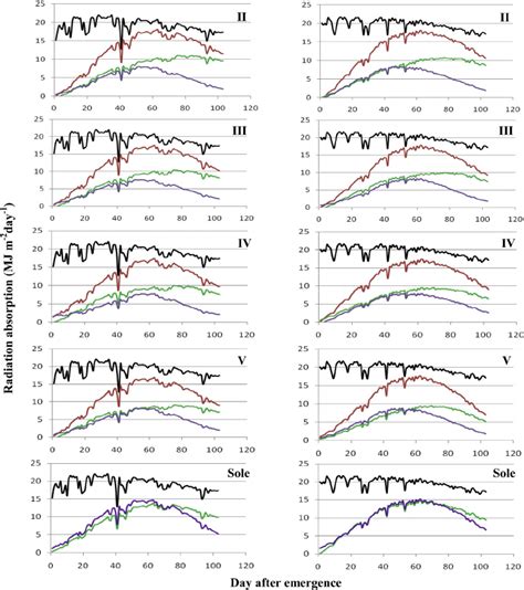 Radiation Absorption Maize And Bean Grown In Strip Intercropping During Download Scientific