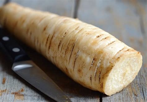 Roasted Parsnip Root Vegetable Closeup Photography High Quality Image Stock Illustration Roasted Parsnip Root Vegetable Closeup Photography High Quality Image Stock Illustration