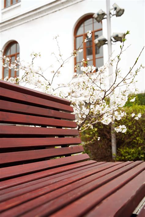 თბილისის სახელმწიფო უნივერსიტეტი • Tbilisi State University ⚖ ივანე ჯავახიშვილის სახელობის