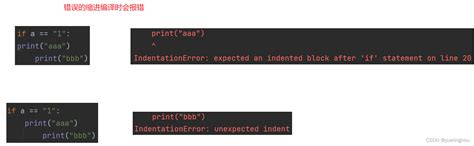 【python】顺序、条件、循环语句 顺序 函数 条件 编程 Csdn博客