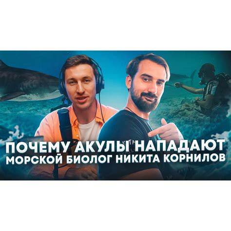 Почему акула нападает Наука про акул Science Guide Podcast Pc St
