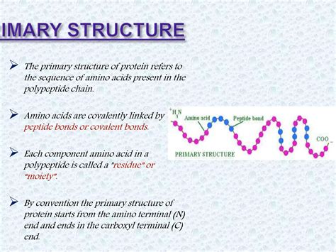 Protein Structure Presentation Pptx