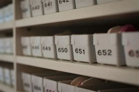 How Transfer Learning Boosts Image Classification Performance Ml Journey