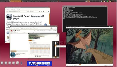 7 Mejores Sistemas Operativos Linux Para Instalar Y Ejecutar Desde Un