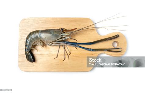 흰 배경에 고립 된 신선한 새우와 긴 팔을 닫습니다 거대한 강은 흰색 배경에 새우 구운 거대한 강 새우는 인기있는 태국