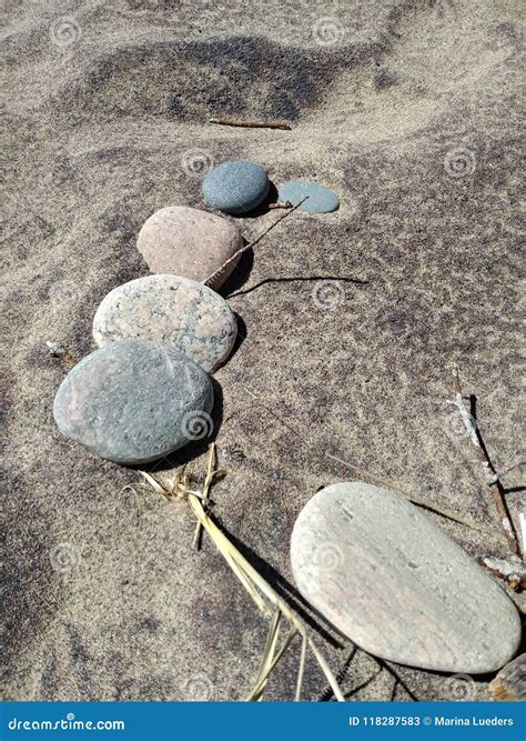 Driftwood Details Wood Water Sea Waves Beach Sand Pebbles Stock Image