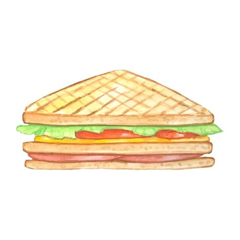 Ilustración Acuarela De Sándwich Vector Premium