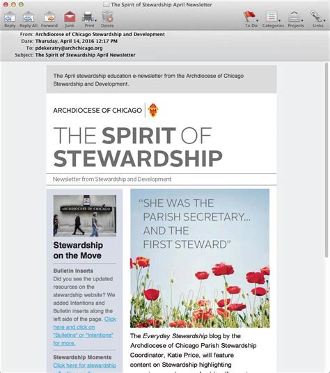 Aoc Identity And Design Standards By Archdiocese Of Chicago Issuu