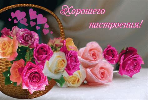 Картинки для хорошего настроения (50 картинок) 🌟