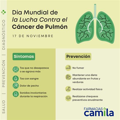 ¿qué Es El Cáncer De Pulmón El Cáncer Farmacias Camila
