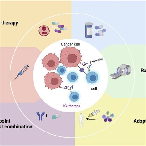 The Integration Of Immune Checkpoint Inhibitor Therapies With