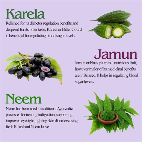 Neem Karela Jamun Ras 500 Ml Packaging Type Bottle At Rs 90bottle