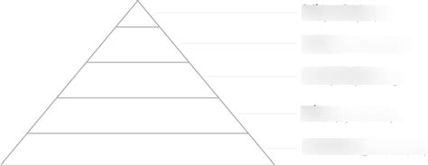Chapter Basic Human Needs Diagram Quizlet