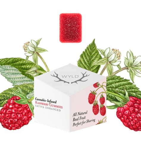 Raspberry Gummies Vibe By California