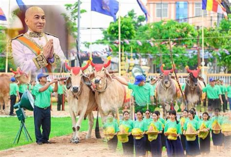ពិធីបុណ្យច្រត់ព្រះនង្គ័លសម្រាប់ឆ្នាំនេះនឹងចាប់ផ្តើមនៅថ្ងៃស្អែក