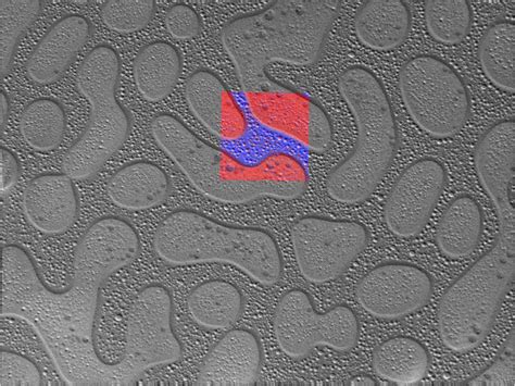 Witecs Rise Microscopy Now Available With Zeiss Sigma 300 Scanning