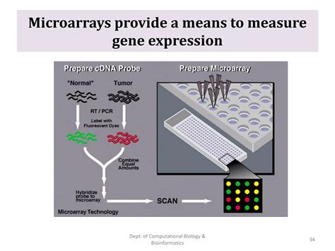 bioinformatics exam point of view ppt