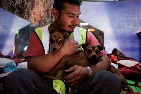 San Jose To Clear Around 200 People From Coyote Creek Homeless Camps