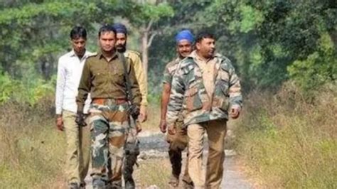 Applications Invited For 1484 Chhattisgarh Forest Guard Posts News18