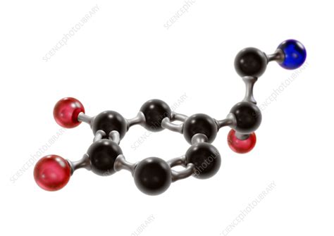 Norepinephrine Illustration Stock Image C057 0681 Science Photo