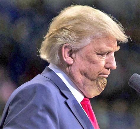 Интересные факты о Дональде Трампе