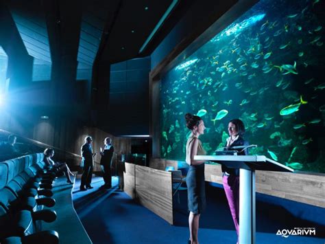 LAS MEJORES ACTIVIDADES ACUARIO DONOSTI Colectivia Blog Parques De