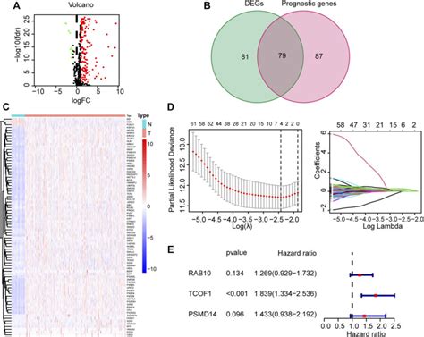 A Cancer Stem Cell Associated Gene Signature For Predicting Overall