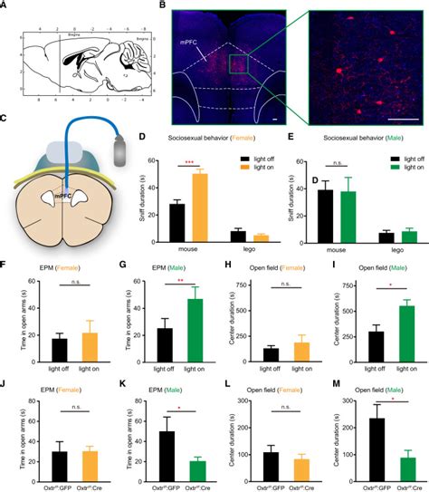 A Cortical Circuit For Sexually Dimorphic Oxytocin Dependent Anxiety