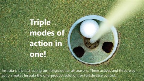 Instrata Fungicide Disease Control Inside Out Syngenta Turf And Landscape