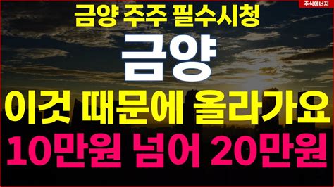 금양 이 것 때문에 주가 올라가요 10만원 넘어 20만원 갑니다 금양 주주 필수시청 리튬 금양주가 금양주가전망 박순혁