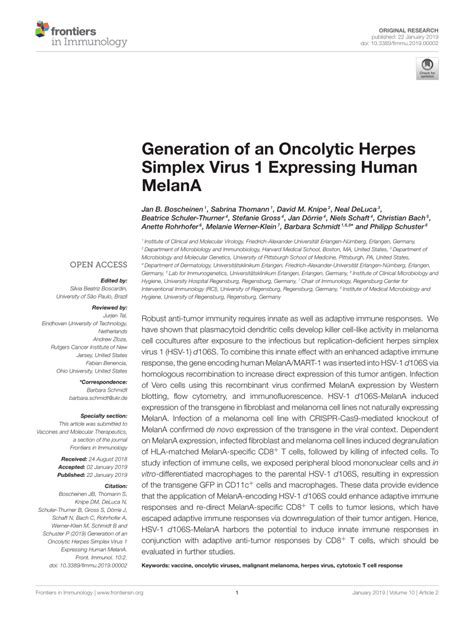 Pdf Generation Of An Oncolytic Herpes Simplex Virus 1 Expressing