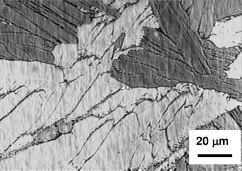 Widmanstatten Structure In Zircaloy 4 Sample 3 Download Scientific